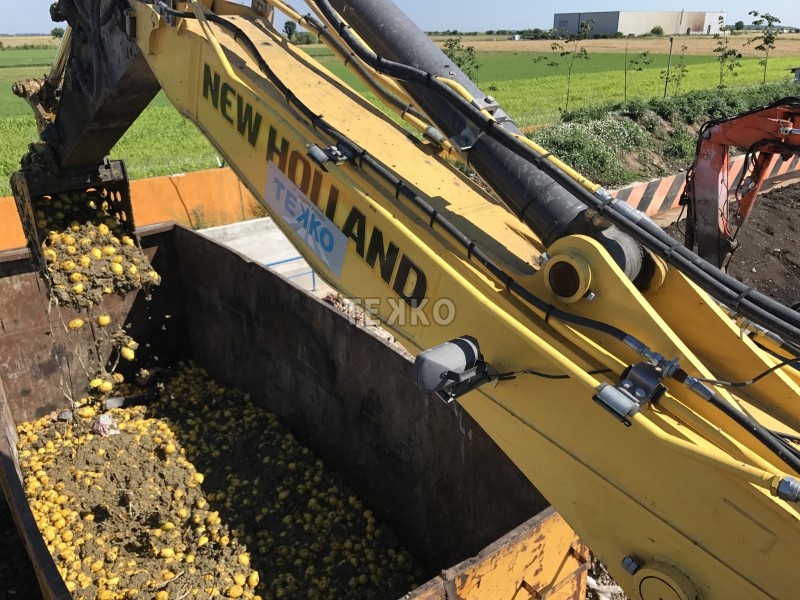 Distrugere si eliminare produse expirate sau deteriorate, firma ...